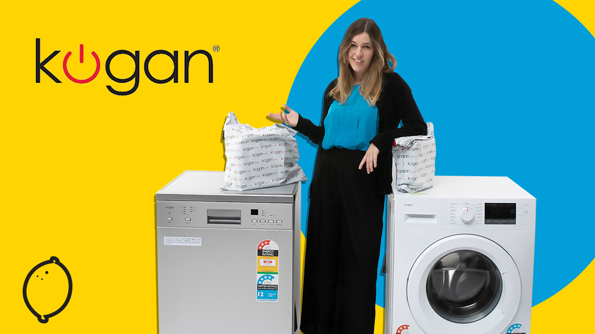 Kogan - Shonkys 2019