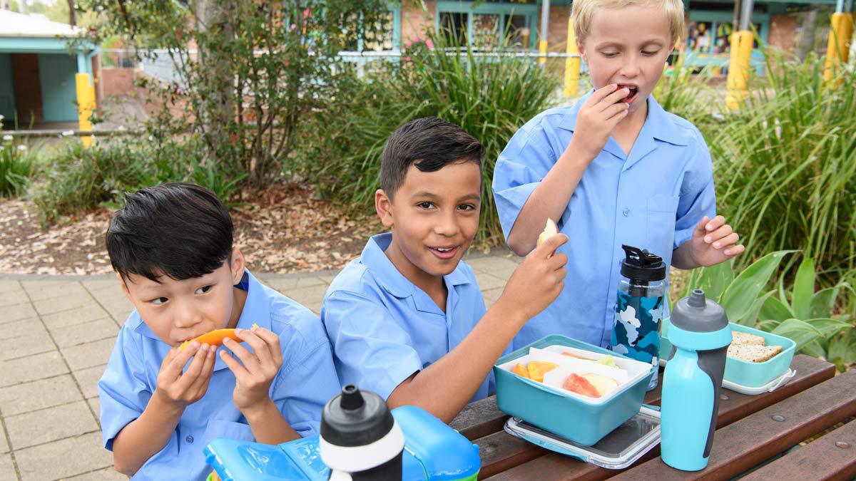 School lunch boxes – which snacks and drinks are best?