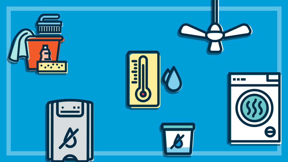 How to protect your home from damp, moisture and mould