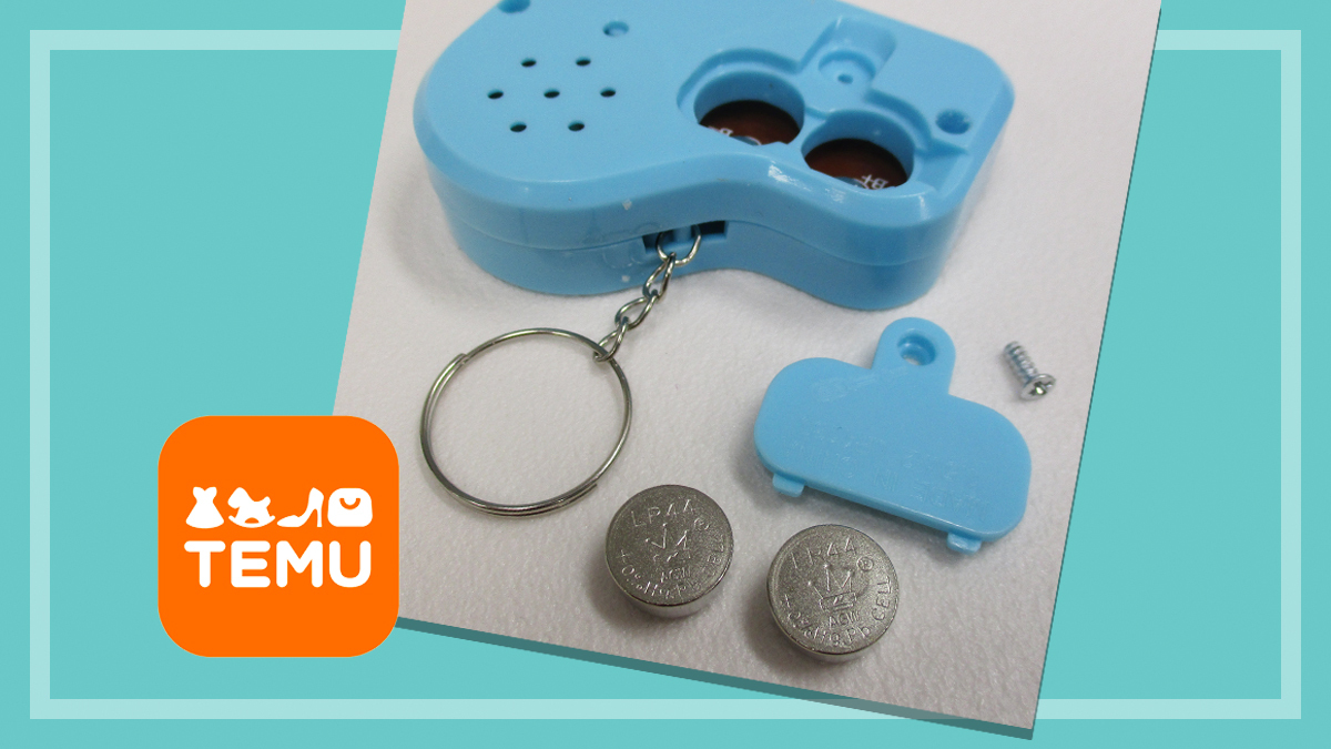Dangerous toys found on online shopping platform Temu