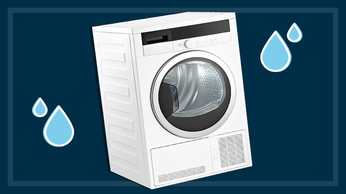 Condenser vs heat pump dryers