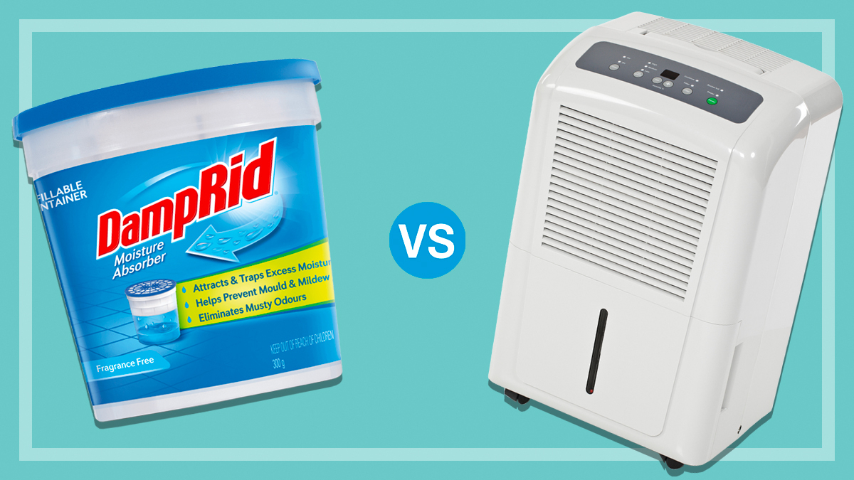 DampRid vs dehumidifiers: Does DampRid really work?