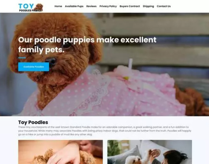How to spot, avoid and report online pet scams