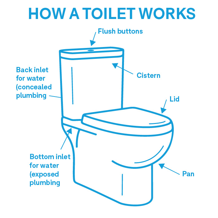 What to know before buying a toilet suite